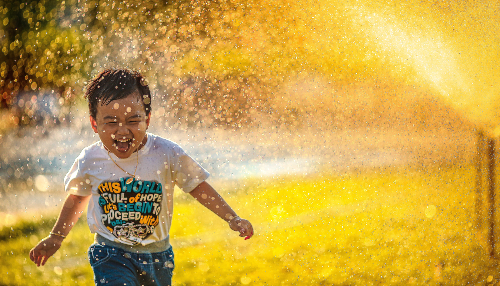 Emergency Resources: North Texas Heat Relief - The Dallas Foundation